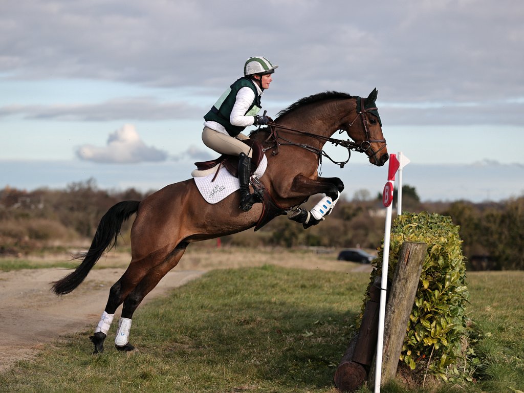 2025-03-16 Punchestown Hunter Trials